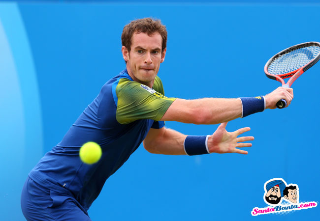 Andy Murray Image Gallery Picture # 40626