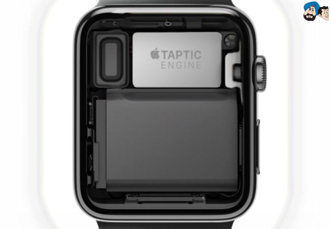 Everything You Need To Know About The Apple Watch